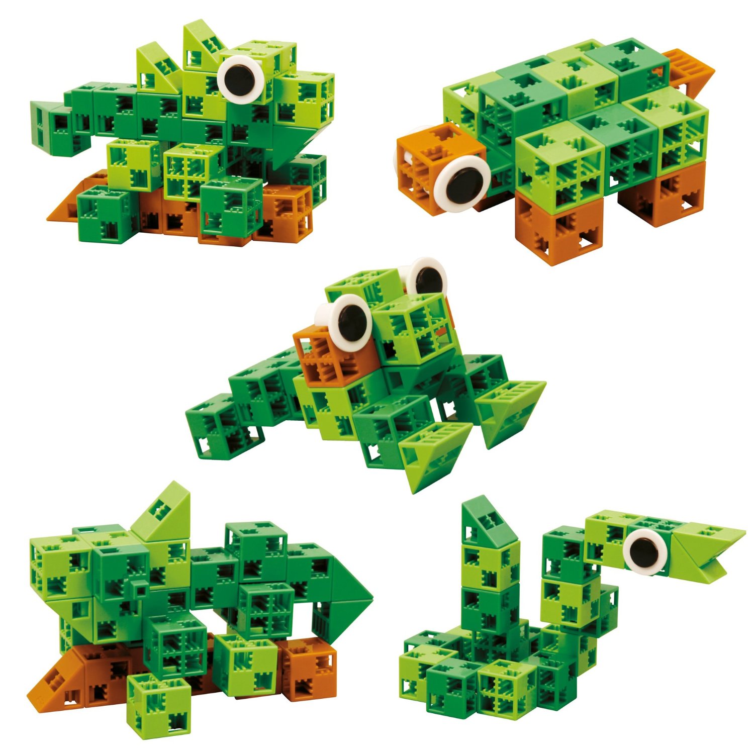 news Archives - Discovery AshevilleDiscovery Asheville