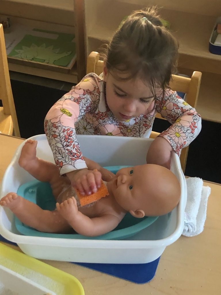 Curriculum Areas 3-6 Year Olds - Discovery AshevilleDiscovery Asheville